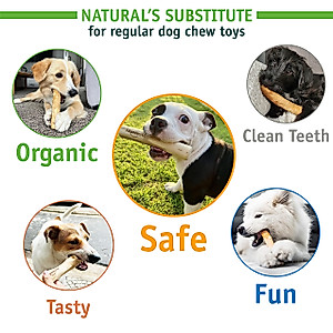 VINPETWORLD Coffee Wood Dog Chew Toy | 100% Natural from Vietnam Forest (R) | Safe and Long-Lasting Real Coffee Wood | for Your Smart Dogs - Size M