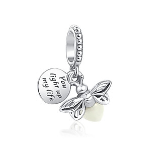 Glow-in-The-Dark Firefly Family Beads Fit Charms Silver 925 Bracelet Nice and Professional