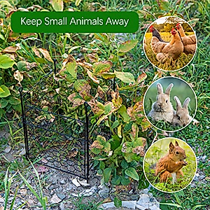 nutroeno Chicken Wire Cloche Plant Protector – Mesh Plant Cage Supports for Vegetables, Plants and Shrubs from Animals, Rabbits, Cats and Lawn Mowers, Garden Barrier Fencing. (2 Sets)