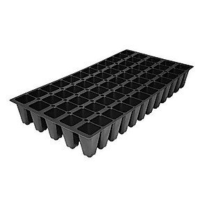 Viburnum Suspensum - 10 Live Plants - Evergreen Privacy Hedge