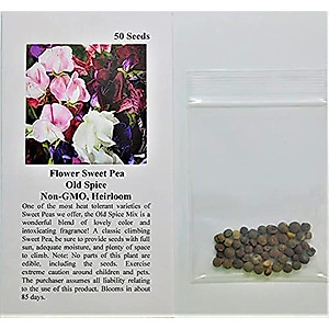 David's Garden Seeds Flower Sweet Pea Old Spice FBA-9155 (Multi) 50 Non-GMO, Heirloom Seeds