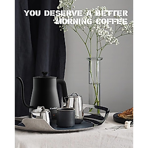 Electric Gooseneck Kettle, Pour Over Kettle & Tea Kettle with 5 Variable Temperature Presets, 304 Stainless Steel, LCD Touch Screen, 1000 Watt Quick Heating, 0.8L, Matte Black, XH-ZCQ07B-B