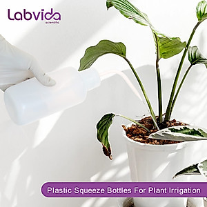 Labvida New Released Thick Wall 250ml Squeeze Bottle Set 2pcs- Laboratory Grade Durable Wash Bottles for Precision Liquid Dispensing and Tattoo Cleaning