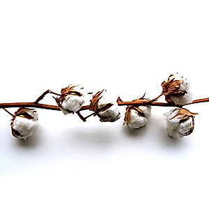 ULUDAG TRIKO Knitted Throw Blankets for Home - 100% Cotton Textured Soft Cozy Warm Decorative Blanket for Home Couch Sofa Bed Chair Cover Living Bed Room, Machine Washable 50"x 60" (Yellow, 60"X80")