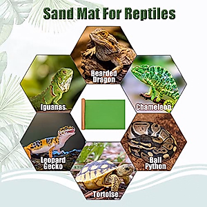 Tfwadmx Reversible Reptile Carpet 11.8" x 19.7" Terrarium Bedding Substrate Liner Reptile Mat Cage Supplies Bearded Dragon Floor Mat for Lizard Turtle Snake Gecko Chamelon Iguana
