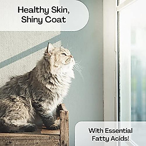 Friskies Dry Cat Food Seafood Sensations Bundle | Includes 2 Bags of Friskies Dry Cat Food Salmon, Tuna, and Shrimp Flavors (3.15 LB) | Plus Paw Food Scoop!