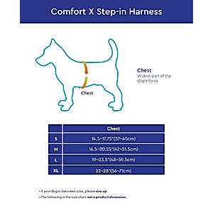 Gooby Comfort X Step in Harness - Black, X-Large - No Pull Small Dog Harness Patented Choke-Free X Frame - Perfect on The Go Dog Harness for Medium Dogs No Pull or Small Dogs