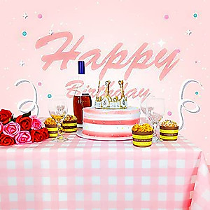 4 Pcs Pink Gingham Tablecloth 54 × 108 Inches Pink and White Checkered Table Cloth Disposable Plastic Waterproof Tablecover for Outdoor Picnic, Birthday Party, Holiday Dinner