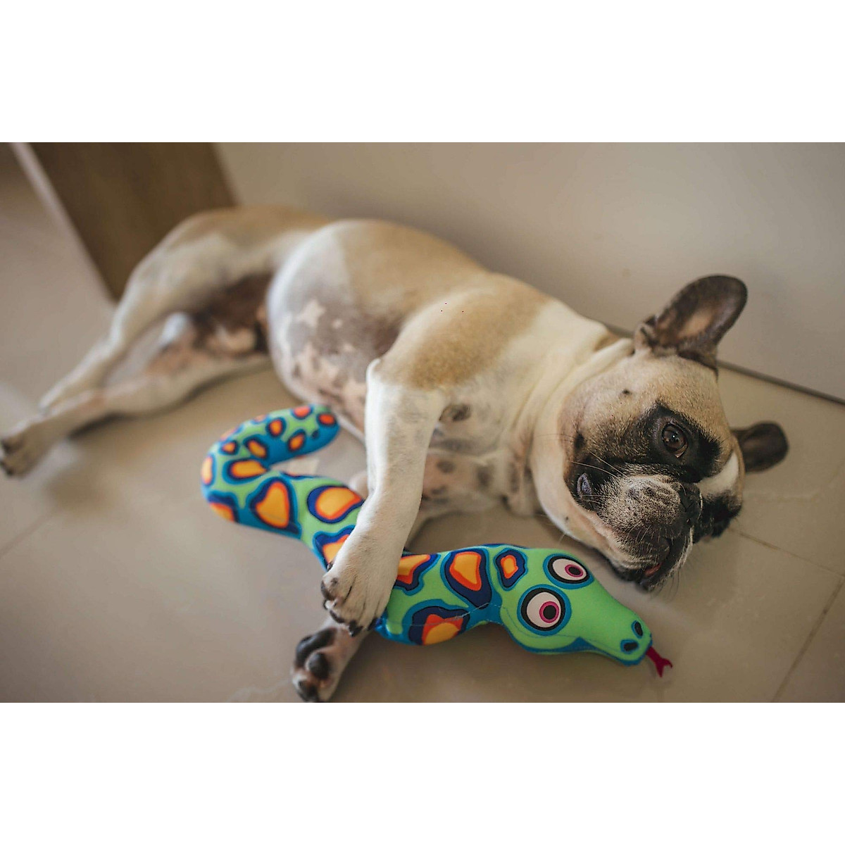 Petmate Fat Cat Incredible Strapping Yankers Dog Toy, Snake (Colors May Vary)