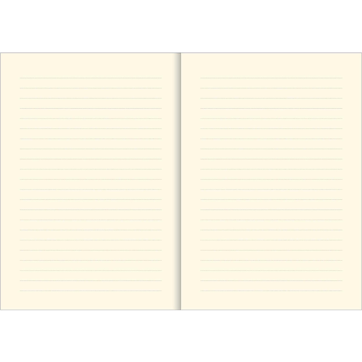 Constellations Journal (Diary, Notebook)