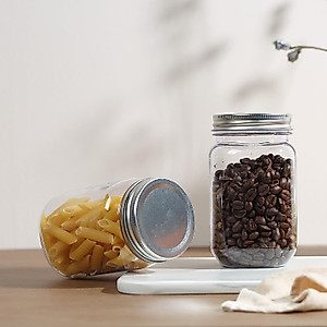 Party Club of America 10 Pack 16OZ Sliver Plastic Jars With Screw On Lids，Plastic Mason Jars Food Storage Container For Storing Dry Food, Candy, Cream,Peanut, Butter