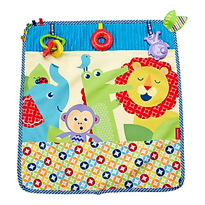 Fisher-Price On-the-Go Activity Throw