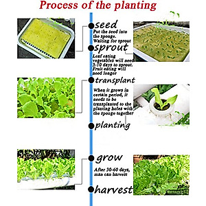 INTBUYING Wall-Mounted PVC Hydroponics Growing System 54 Plant Sites 6 Pipes Hydroponic Grow Kit Garden System Vegetable Tool with Pump