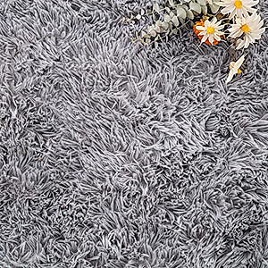 GOKISNE Area Rug for Bedroom, Fluffy Living Room Area Rug, Fluffy Carpet 4' x 5' for Kids Room, Shaggy Plush Rug for Nursery Room, Grey