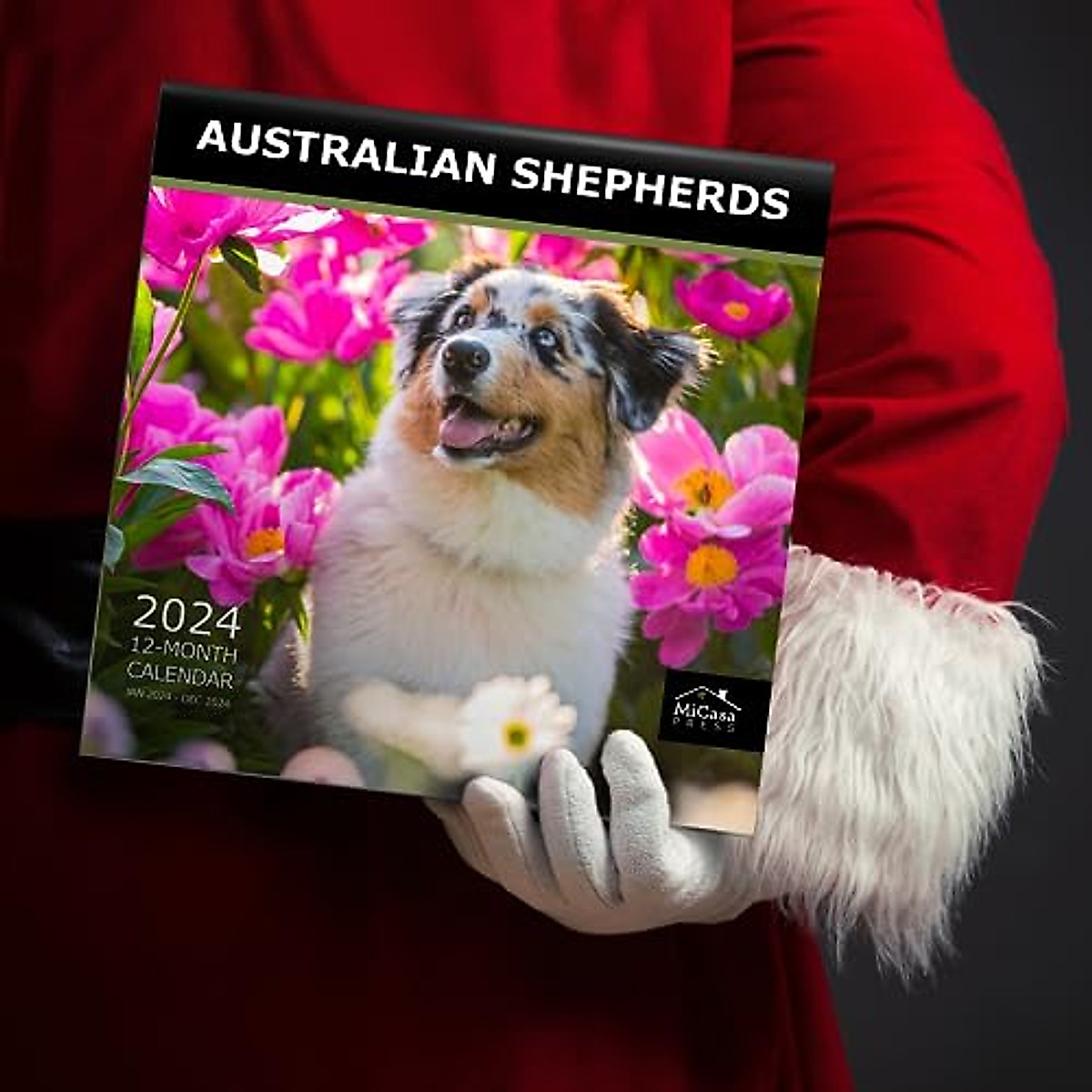 MICASA Australian Shepherds 2024 Wall Calendar 12 Month | 12" x 24" Open | Thick & Sturdy Paper | Giftable | Calendar 2024