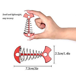 10Pcs Deck Anchor Pegs Windproof Aluminium Alloy Fishbone Tent Stakes with Spring Buckle, Portable Wind Rope Anchor for Hiking Camping (Style 1)