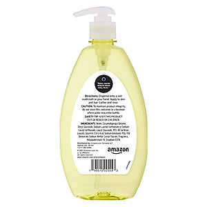 Amazon Basics Tear-Free Baby Hair and Body Wash, 16.9 Fluid Ounce, 1-Pack (Previously Solimo)
