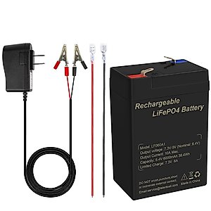 Talentcell 6V 6Ah LiFePO4 Battery Pack LF060A1, 2000 Cycles Rechargeable Lithium Iron Phosphate Battery with Charger