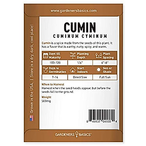 Cumin Seeds for Planting is A Heirloom, Non-GMO Herb Variety- Cuminum Cyminum Herb Seeds Great for Indoor and Outdoor Gardening by Gardeners Basics