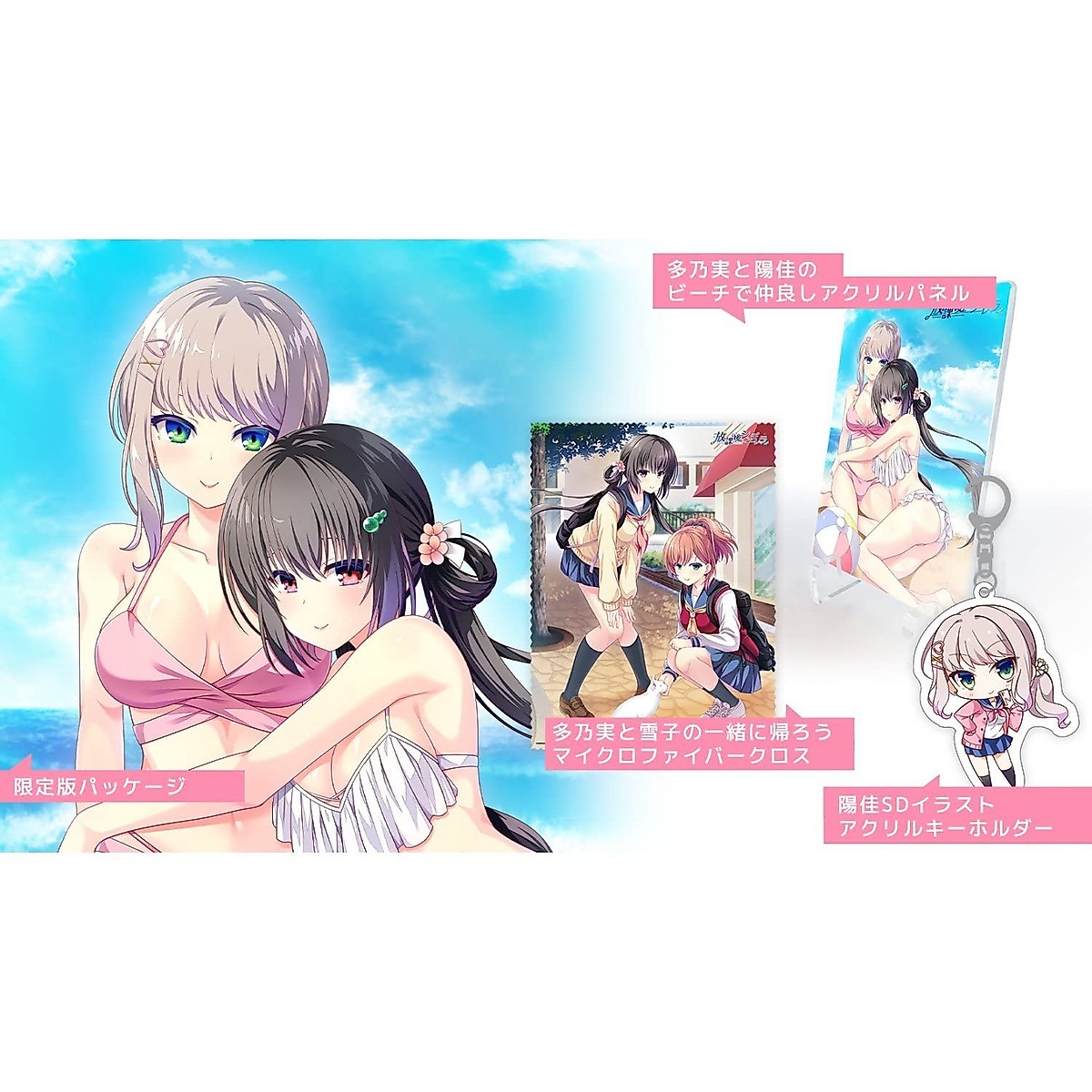 After School Cinderella Complete Production Limited Edition - PS4 (Bonus Item: Acrylic Panel, Microfiber Cloth, Yokaka SD Illustration Acrylic Key Chain Included)