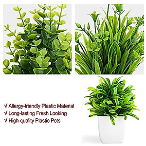 LELEE Artificial Plants Mini Fake Potted Plants, 8 pcs Small Eucalyptus Potted Faux Decorative Grass Plant with White Pot for Home Decor, Indoor, Office, Desk, Shelf, Table Decoration