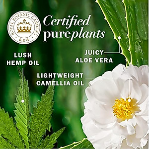 Herbal Essences bio:renew Hemp + Potent Aloe Conditioner for Frizz, 13.5 Fl Oz