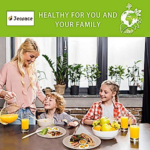 Paper Plates Heavy Duty,Paper Plates Set,Dinner Plates Set,Sugarcane Disposable Paper Plates Set Eco,9 Inch and 7 Inch Party Plates,Forks,Knives and Spoons Set for 50 People [250 PCS]