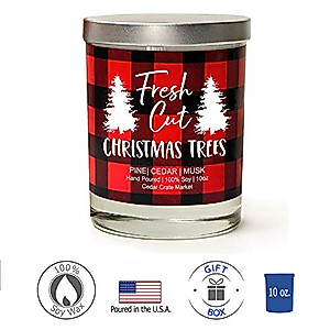 Fresh Cut Christmas Trees, Pine, Cedar, Musk, Buffalo Plaid Christmas Scented Soy Candle, 10 Oz. Candle, Made in The USA, Decorative Holiday Candles, Best Smelling Christmas Candles for Home