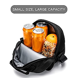 Anime Lunch Box Container Insulated Cute Lunch Bag For Gifts Picnic Work Travel Adults