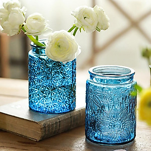 23.7 FL OZ Blue Glass Jars, 2 Pack Vintage Glass Kitchen Storage Counter Jar, Candy Jars with Lids, Blue Mason Jars Hold Coffee Beans, Tea, Cookie, Sugar, Bath Salts & More (Blue)