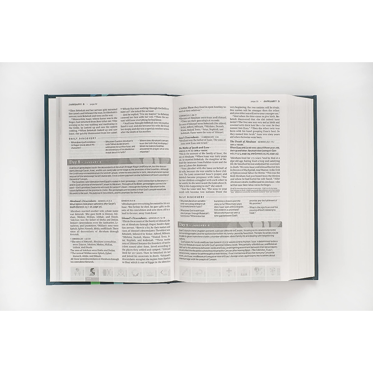 NLT One Year Chronological Study Bible (Softcover)
