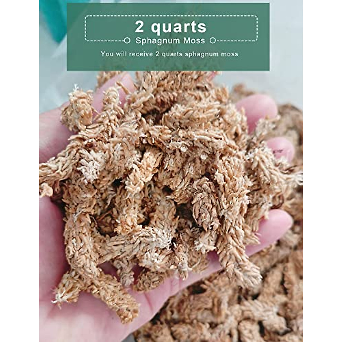 Orchid Sphagnum Moss, 2qt Succulent Dried Moss, Garden Bonsai Pot Mix, Moisture-Holding Plant Growing Medium for Flowers Plant Pot and Reptiles