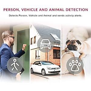 YI Pan-Tilt Security Camera, 360 Degree 2.4G Smart Indoor Pet Dog Cat Cam with Night Vision, 2-Way Audio, Motion Detection, Phone APP, Compatible with Alexa and Google Assistant