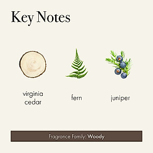 LAFCO New York Signature Candle, Redwood - 15.5 oz - 90-Hour Burn Time - Reusable, Hand Blown Glass Vessel - Made in The USA