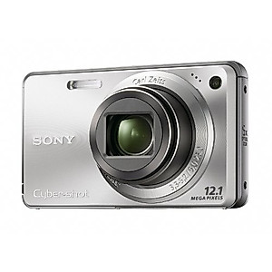 Sony Cyber-shot DSC-W290 12.1 MP Digital Camera with 5x Optical Zoom and Super Steady Shot Image Stabilization (Silver)