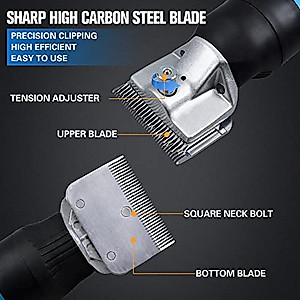 Wild Edge Horse Clipper, Heavy-Duty Light-Weight Professional Equine Horse Clipper and Grooming Kit for Donkey, Pony, Cattle