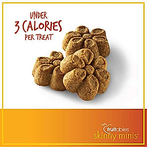 Fruitables Skinny Mini Dog Treats – Healthy Treats for Dogs – Low Calorie Training Treats – Free of Wheat, Corn and Soy – Pumpkin and Mango – 5 Ounces
