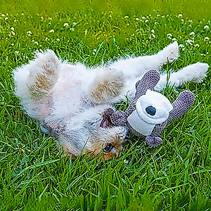 Unique Bulldog Plush Toy - Adorable Crinkle Toy with Squeaker - Suitable for Puppies to Large Dogs