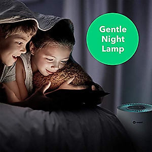 Vremi Premium True HEPA Air Purifier for Large Rooms - Removes 99.97% of Airborne Particles with H13, Activated Carbon and 3-Stage Filtration - Have A Great Air Day