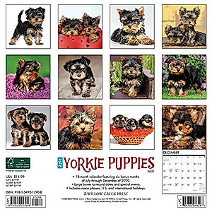 Just Yorkie Puppies 2021 Wall Calendar (Dog Breed Calendar)