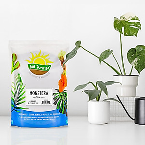Monstera Houseplant Potting Soil Mix (4 Quarts), Custom Blend for Growing and Repotting