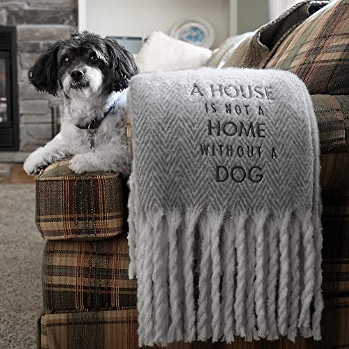 Pavilion Gift Company A House is Not A Home Without A Dog 50x60 Super Soft Herringbone Chevron Tassel Throw Blanket, Gray