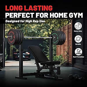 papababe High-Bounce Bumper Plates, Olympic Weight Plates with Colored Fleck-Rubber, Weight Plate for Weightlifting and Strength Training (55 LB, Pair)