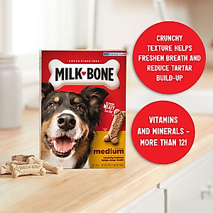 Milk-Bone Original Dog Treats for Medium Dogs, 24 Ounce, Crunchy Biscuit Helps Clean Teeth