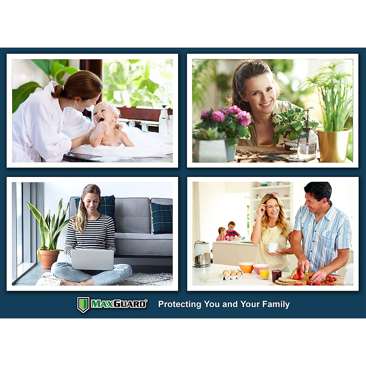 MaxGuard Spider + Insect Traps (12 pcs Box Trap) | Non-Toxic Extra Sticky Glue Traps , Kill Black Widow Hobo Brown Recluse Spiders and Other Crawling Bugs & Insects |