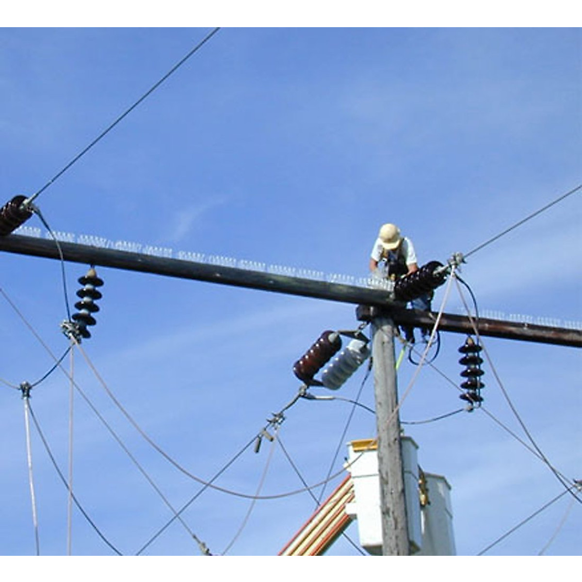 Bird-X, SP-10-NR Plastic Polycarbonate Bird Spikes Kit with Adhesive Glue, Covers 10 feet