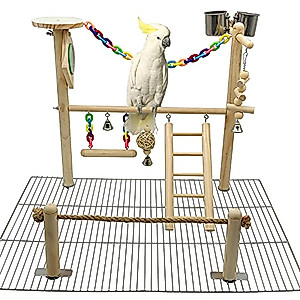Bird Playground for Top of Cage, Parrot Gym Hanging Chewing Toys, Cage Top Play Stand for Conure, Parakeets, Budgie, Cockatiels, Lovebirds, Bird Wood Perch Cage Toys