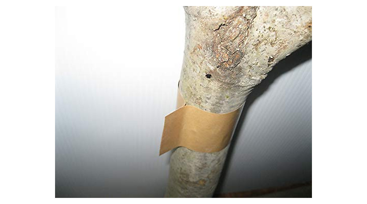 Gypsy Moth Tree Barrier Tape Protects Trees Non-Chemical Solution