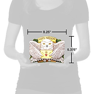 American Greetings Pop Up Harry Potter Birthday Card (Filled with Magic!)