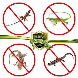 Natural Armor Lizard & Gecko Repellent Spray - Powerful Peppermint Formulation Repels All Types of Lizards & Geckos and Works Better Than Ultrasonic Gimmicks – 128 fl oz - Gallon Ready to Use